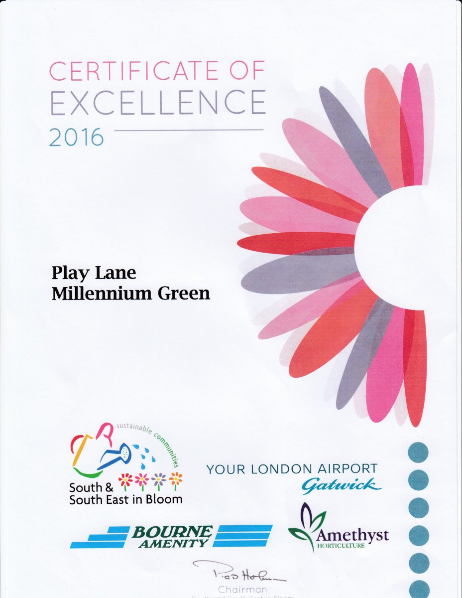 South & South East in Bloom Certificate of Excellence - Play Lane ...