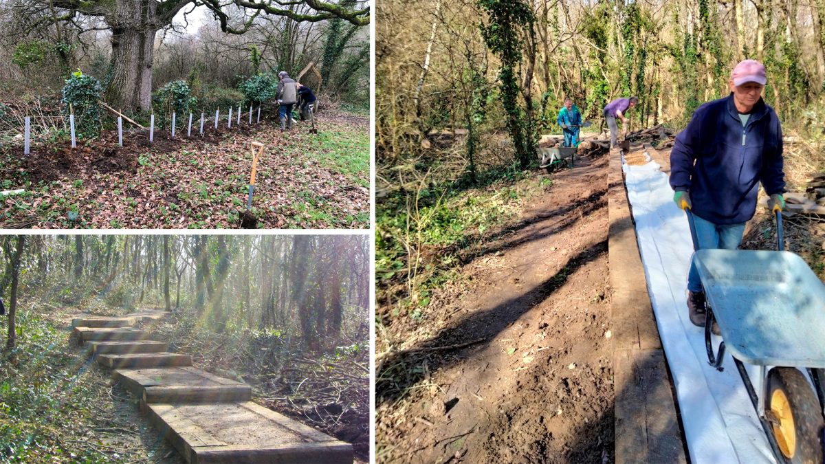 Play Lane Millennium Green Spring Update 2023 - Play Lane Millennium Green